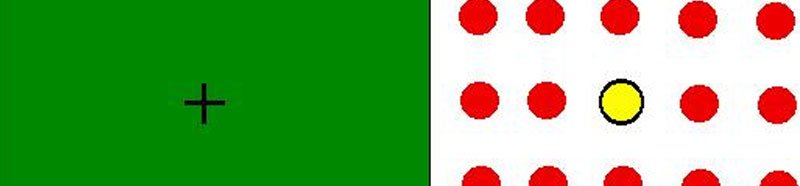 3 Fun Tests To Measure You Blind Spots Eye Test Examination 